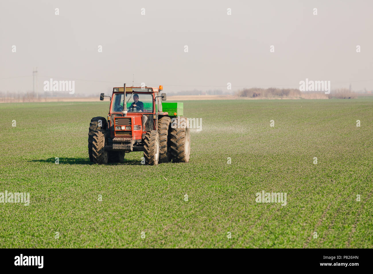 Farmer in tractor fertilizing wheat field at spring with npk Stock ...
