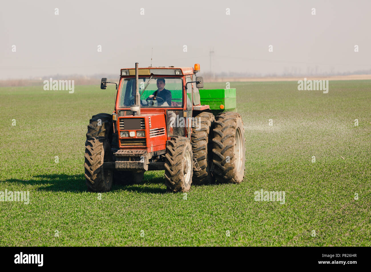 Farmer in tractor fertilizing wheat field at spring with npk Stock ...