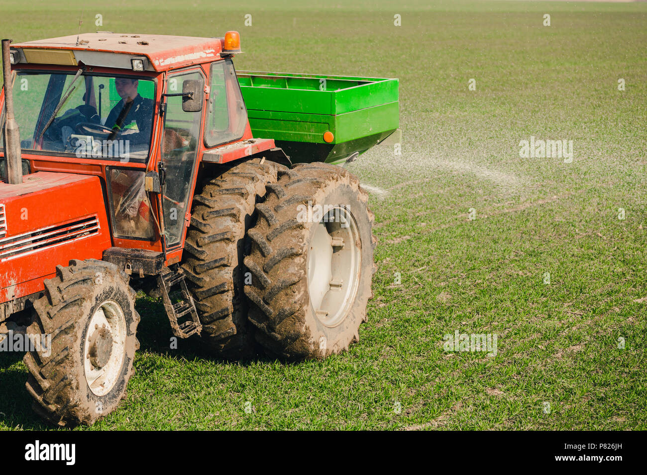 Farmer in tractor fertilizing wheat field at spring with npk Stock ...
