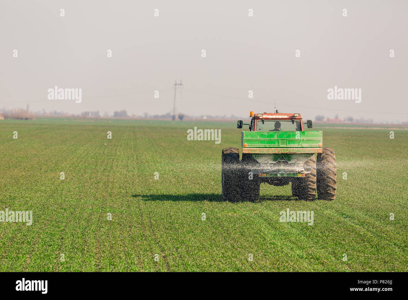 Farmer in tractor fertilizing wheat field at spring with npk Stock ...