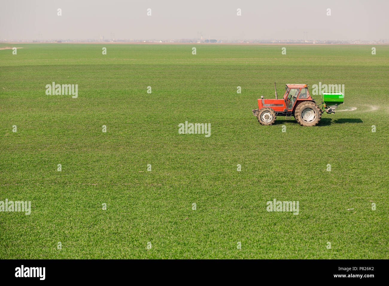 Farmer in tractor fertilizing wheat field at spring with npk Stock ...
