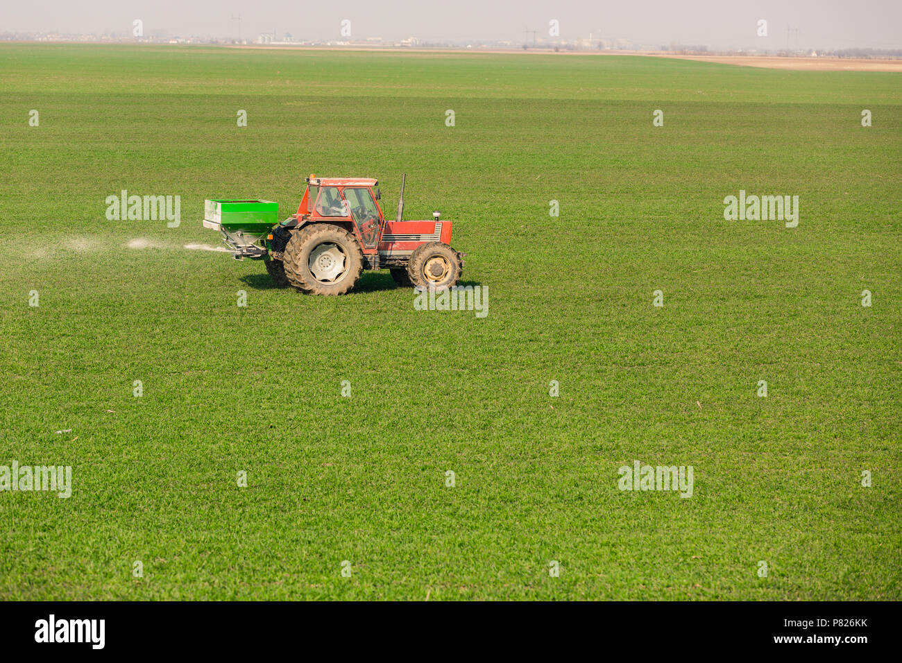 Farmer in tractor fertilizing wheat field at spring with npk Stock ...