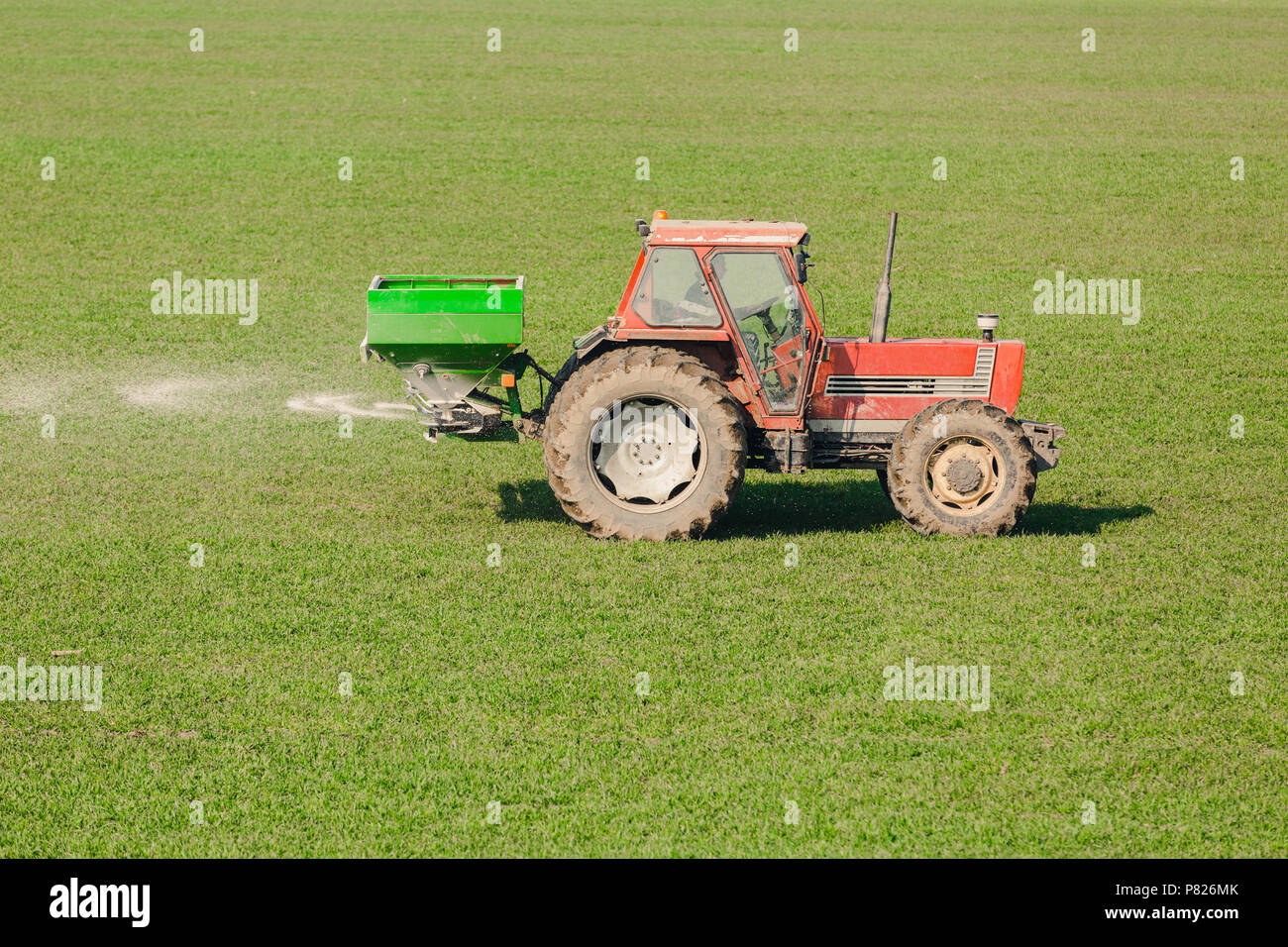 Farmer in tractor fertilizing wheat field at spring with npk Stock ...