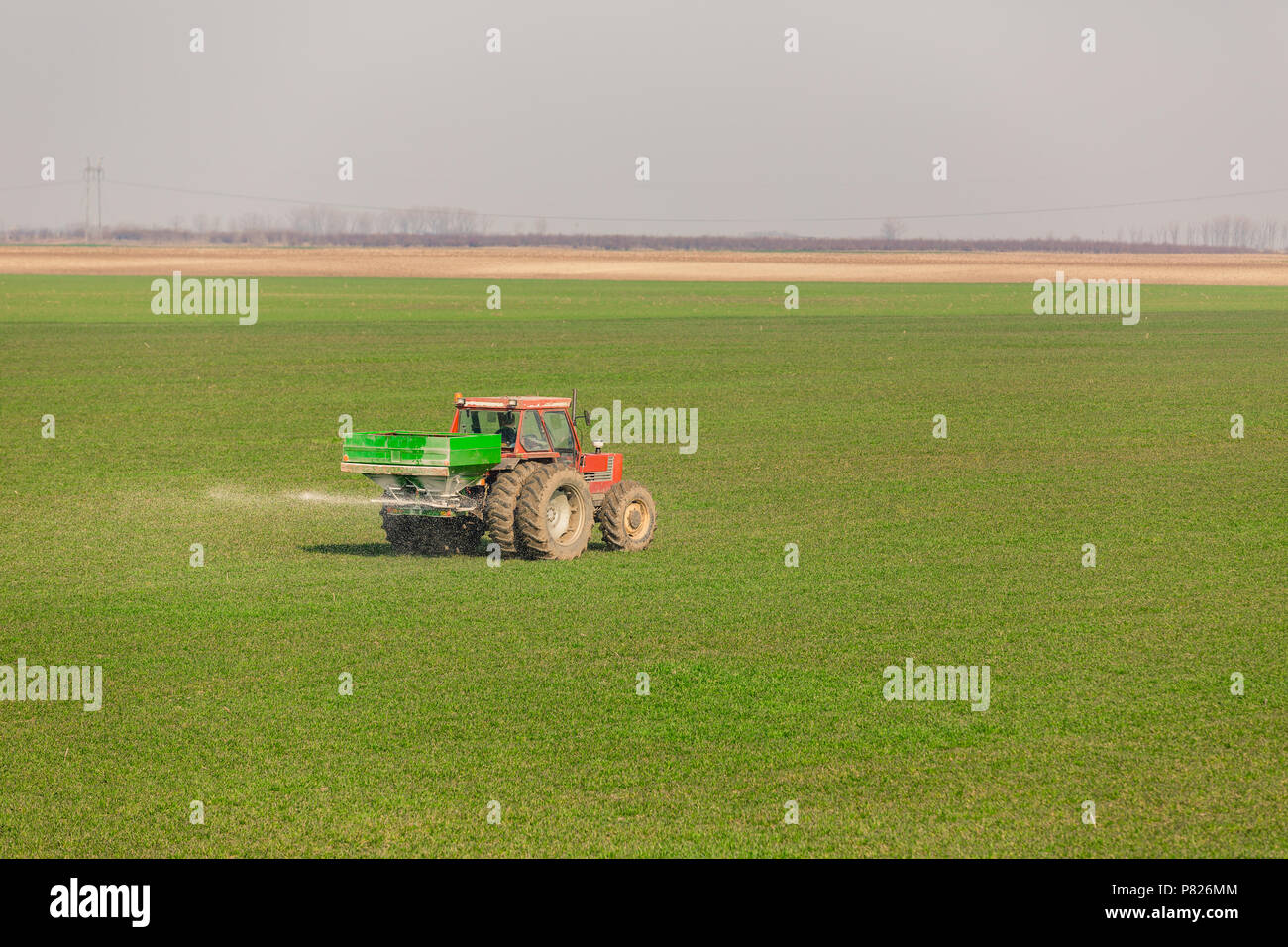 Farmer in tractor fertilizing wheat field at spring with npk Stock ...