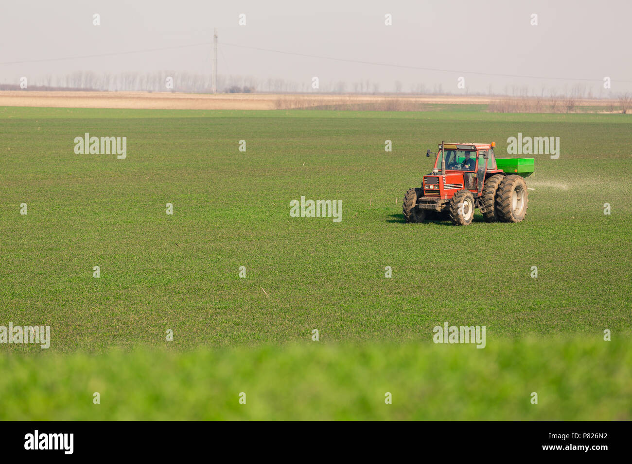 Farmer in tractor fertilizing wheat field at spring with npk Stock ...