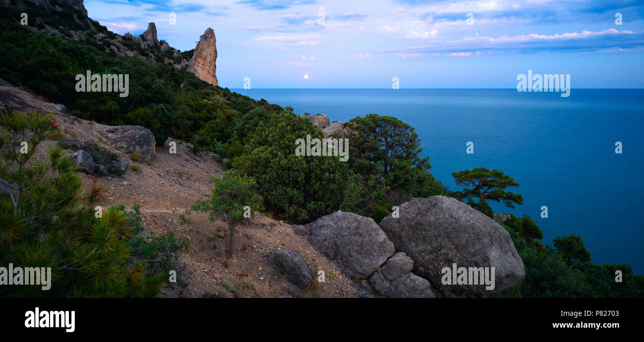 Colorful night landscape with full moon, lunar path and rocks in summer ...