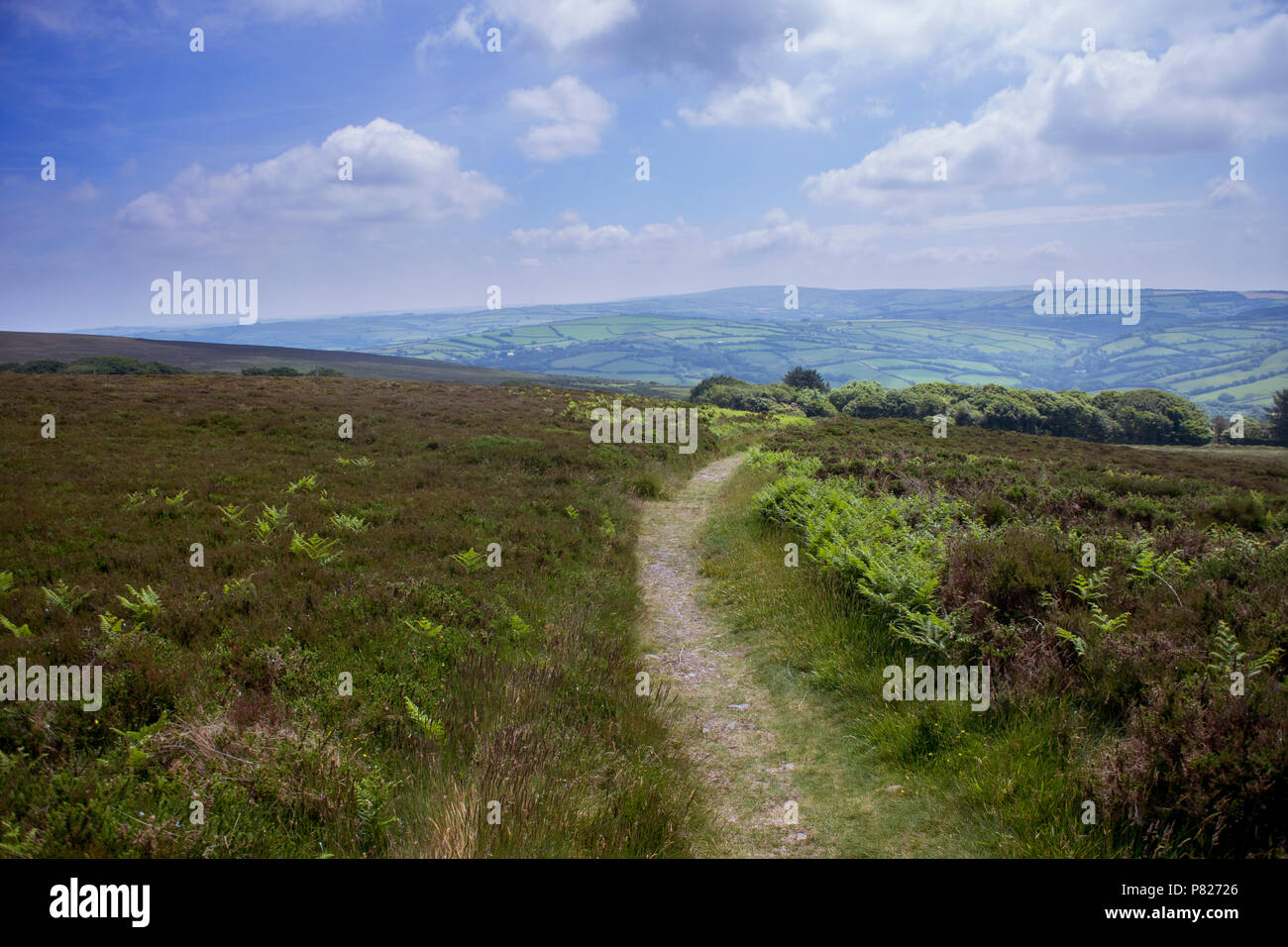 Devon pathway hi-res stock photography and images - Alamy