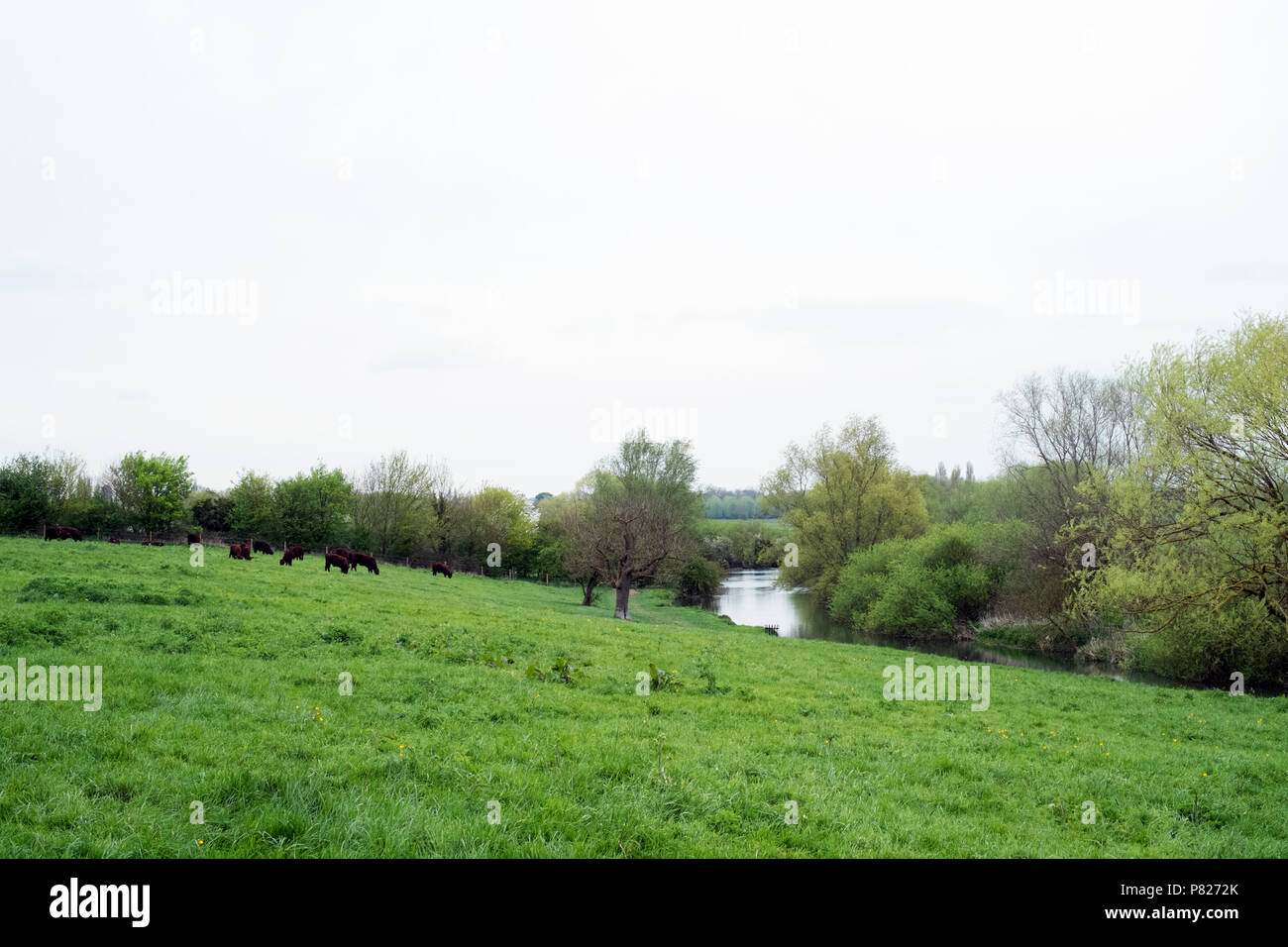 Nature walk cambridgeshire hi-res stock photography and images - Alamy