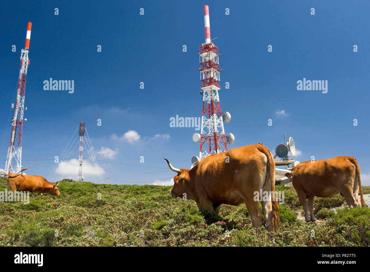 Shortwave radio tower hi-res stock photography and images - Alamy