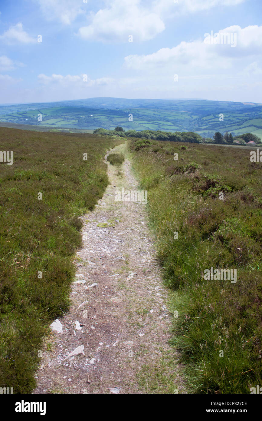 Devon pathway hi-res stock photography and images - Alamy
