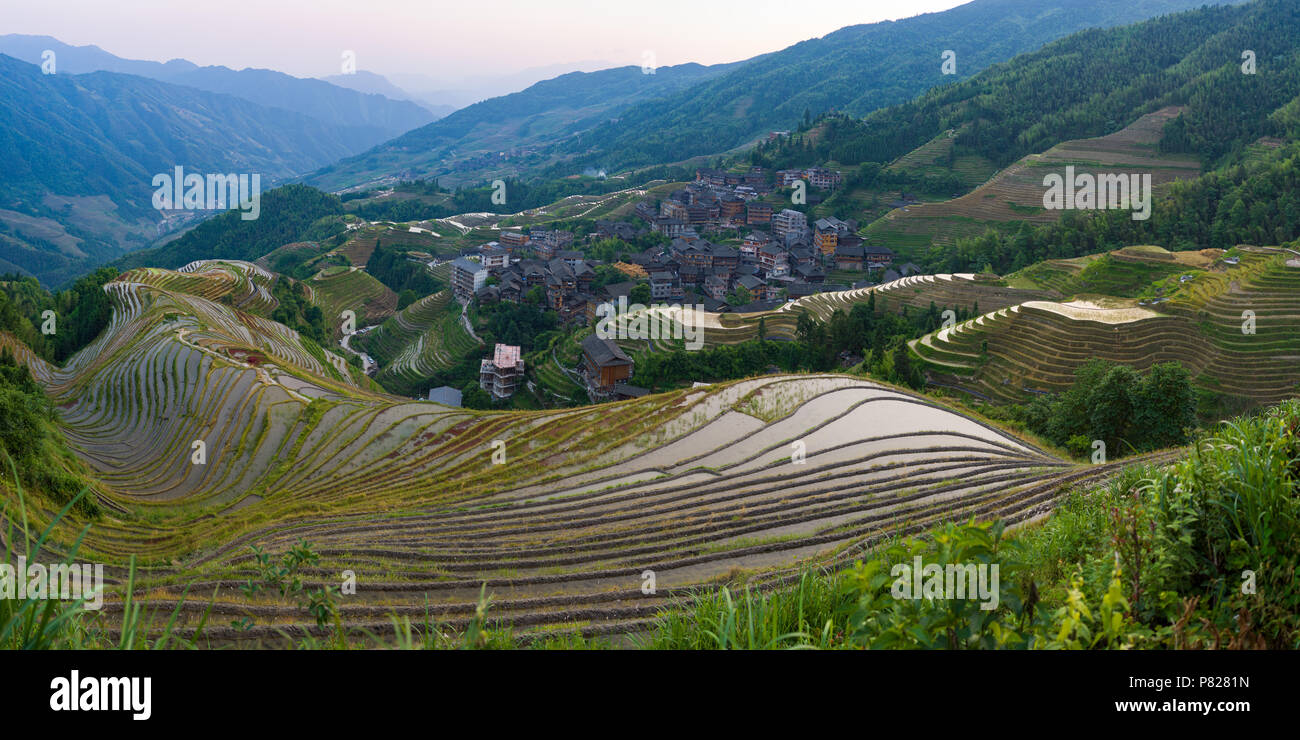 Chinese rice field hi-res stock photography and images - Alamy