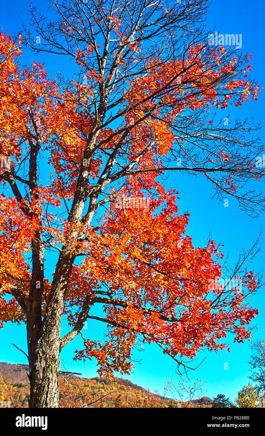 Views of Canada during different seasons Stock Photo - Alamy
