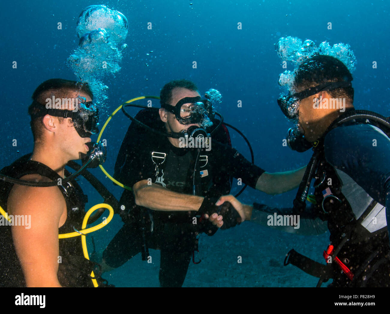 Gordon bay underwater hi-res stock photography and images - Alamy
