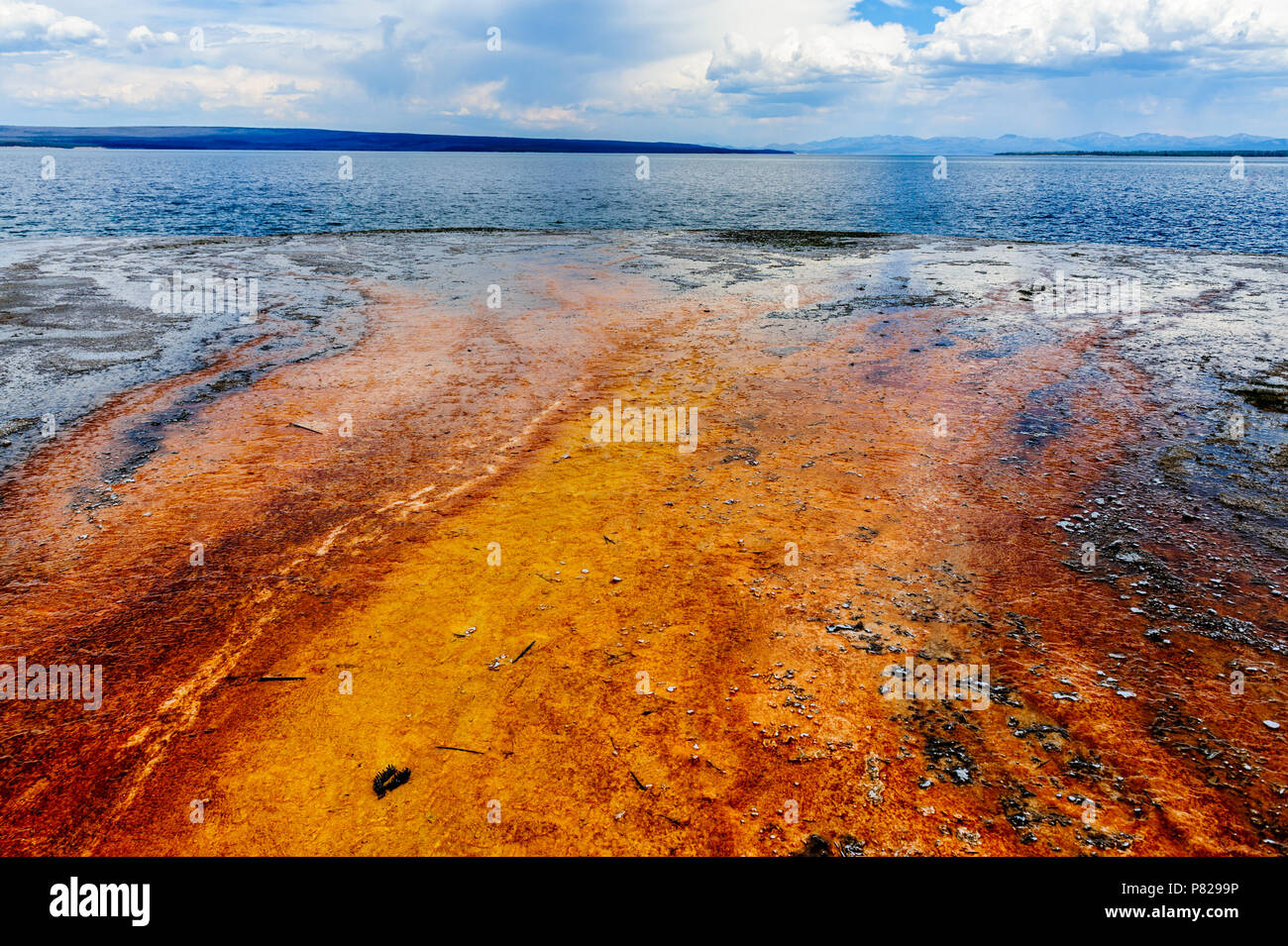 Colorful bacteria mats in Yellowstone Stock Photo - Alamy