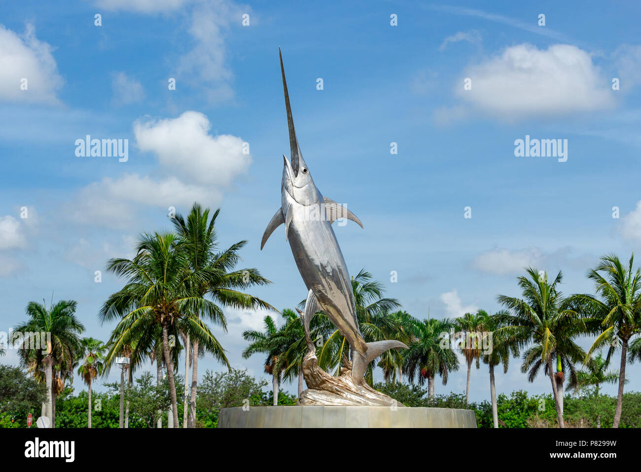 Game fish hi-res stock photography and images - Alamy