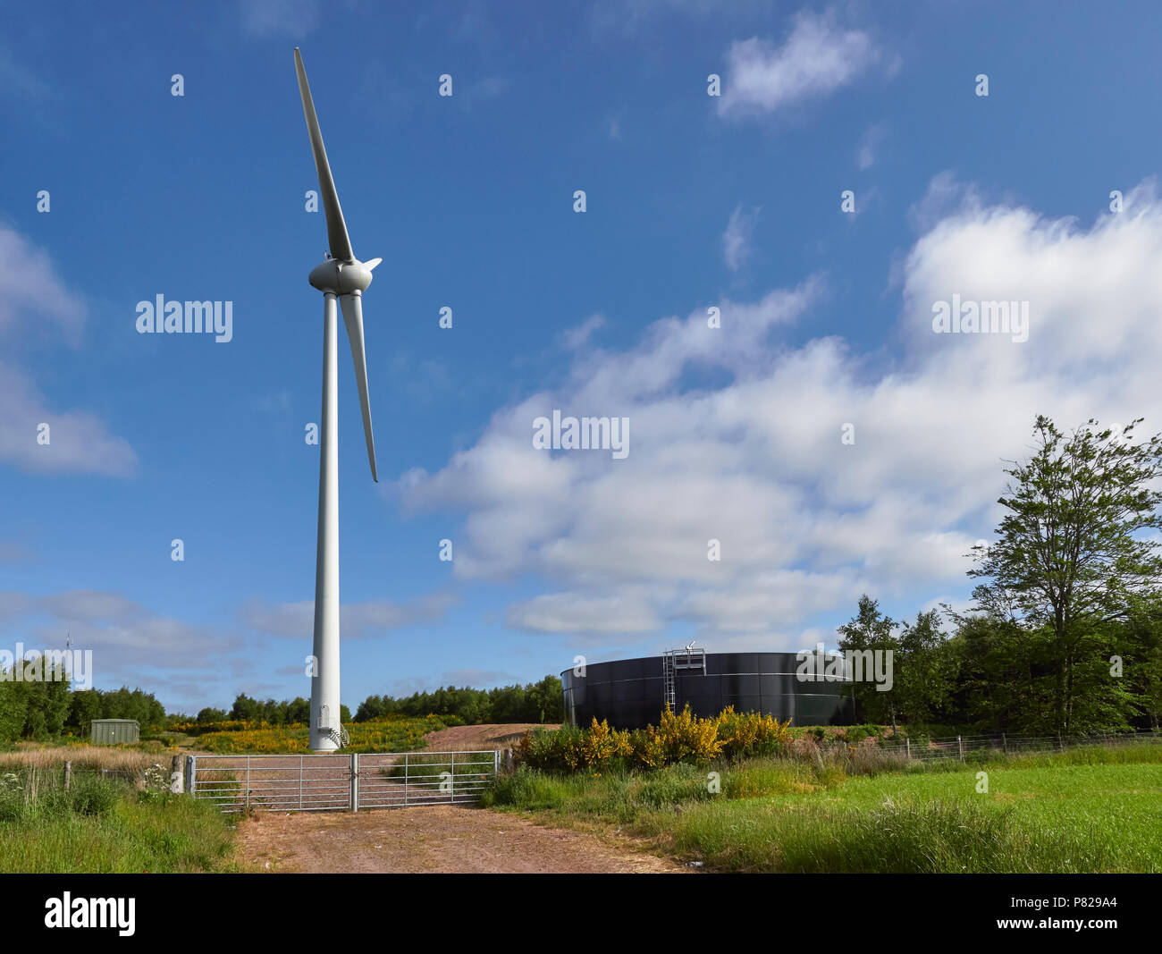 A large Farm owned private Wind Turbine above Stracathro with an ...