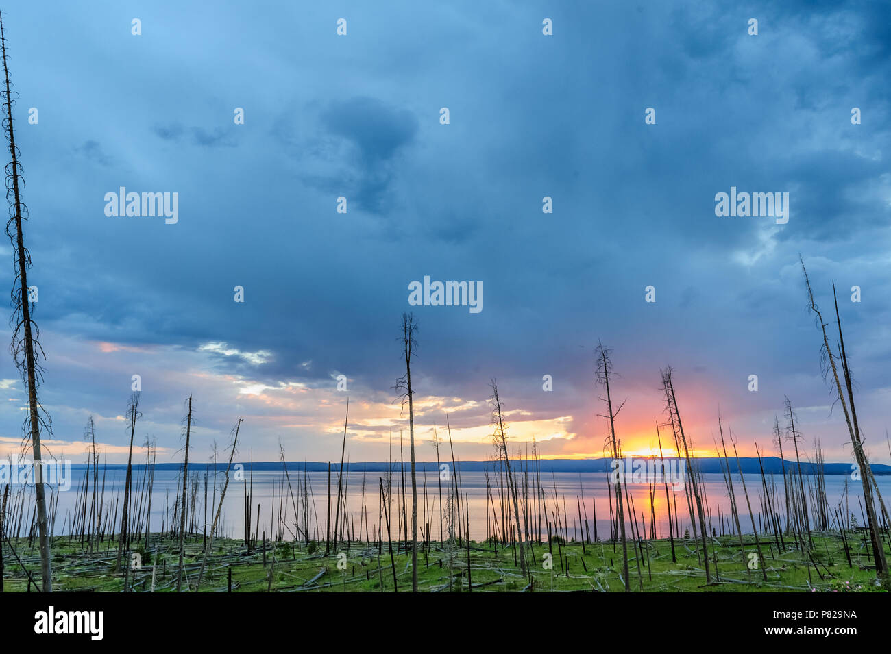 Sunset Over Lake Yellowstone Stock Photo - Alamy