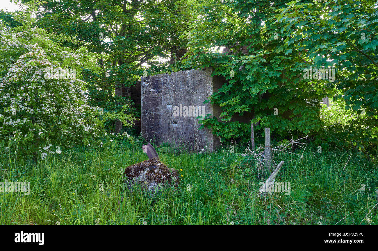 One of the Ancilliary buildings or Bunkers at the old Stracathro ...