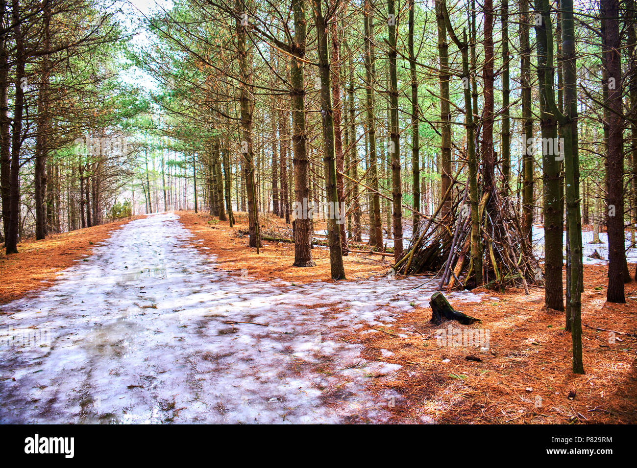 Views of Canada during different seasons Stock Photo - Alamy