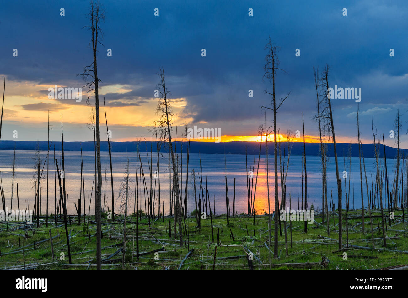 Yellowstone hotspot hi-res stock photography and images - Alamy