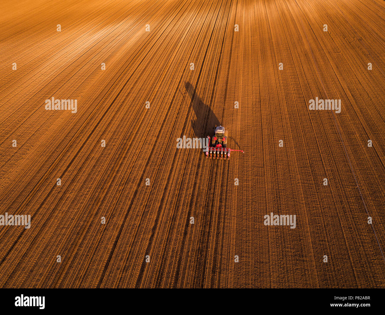 Aerial shot of a farmer seeding, sowing crops at field. Sowing is the ...