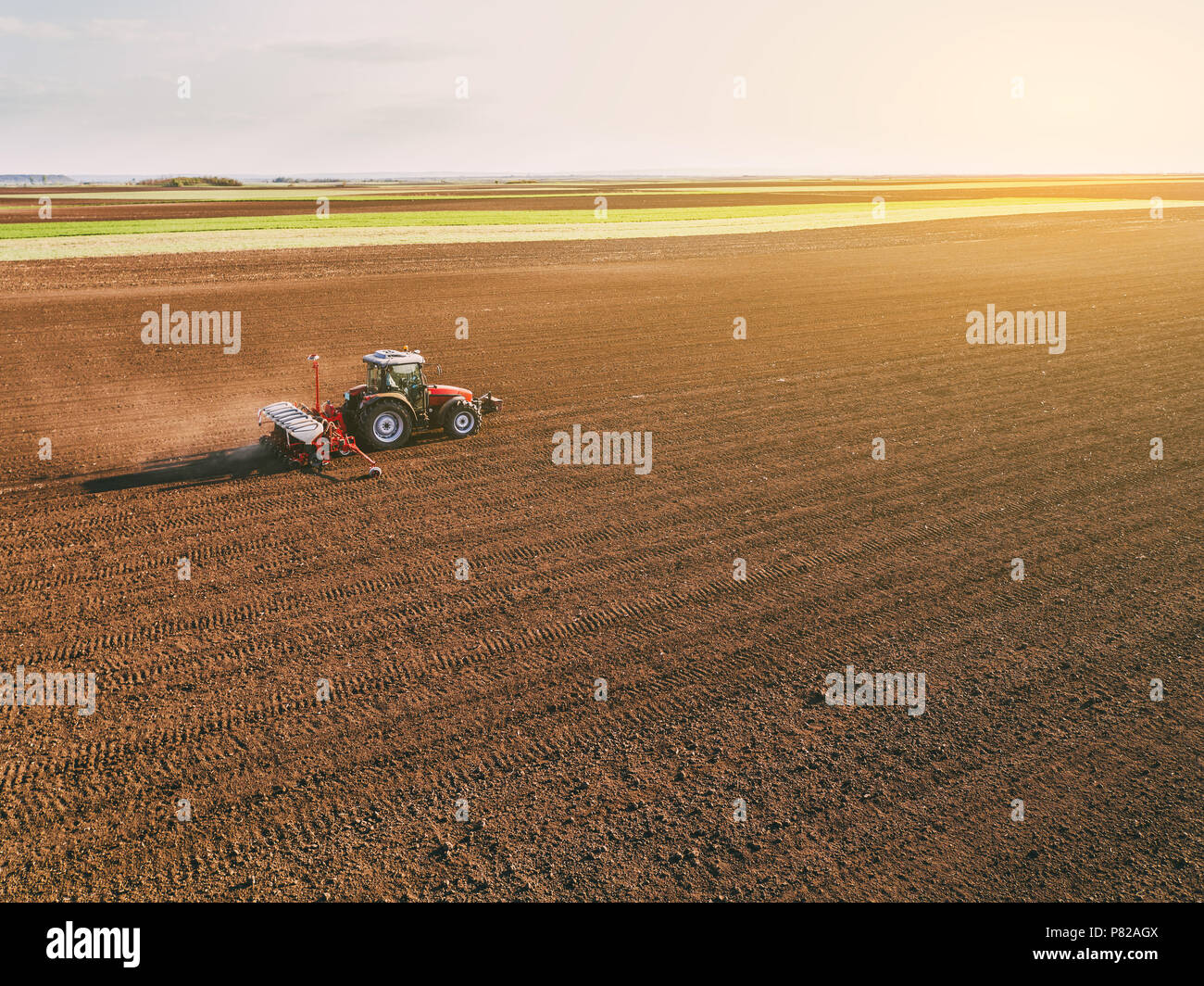 Aerial shot of a farmer seeding, sowing crops at field. Sowing is the ...