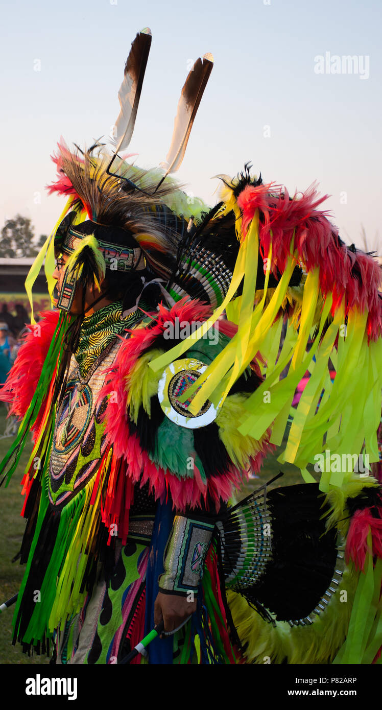 A Native American Male Dancer with a Bright Neon Feathered Garment and ...
