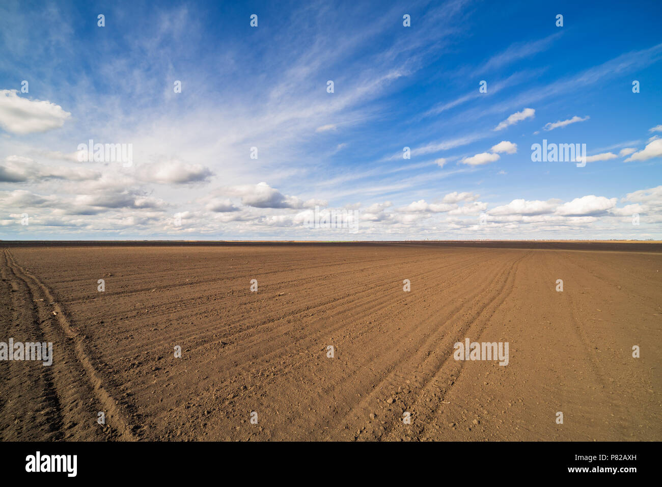 Agricultural landscape, arable crop field. Arable land is the land ...