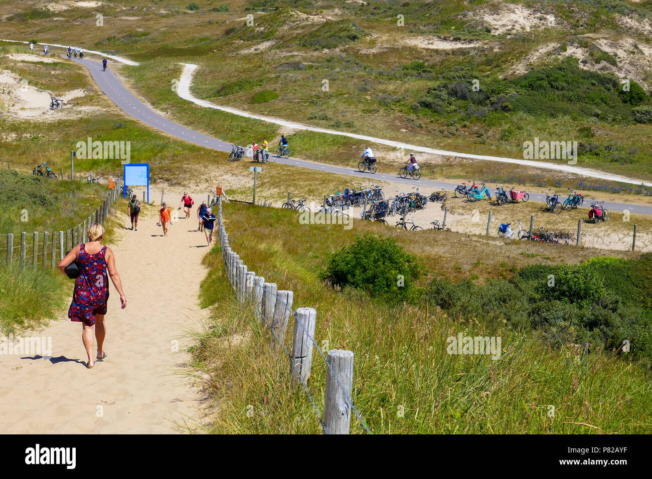 sandy path over dunes towards the beach in Meyendel, Holland Stock ...