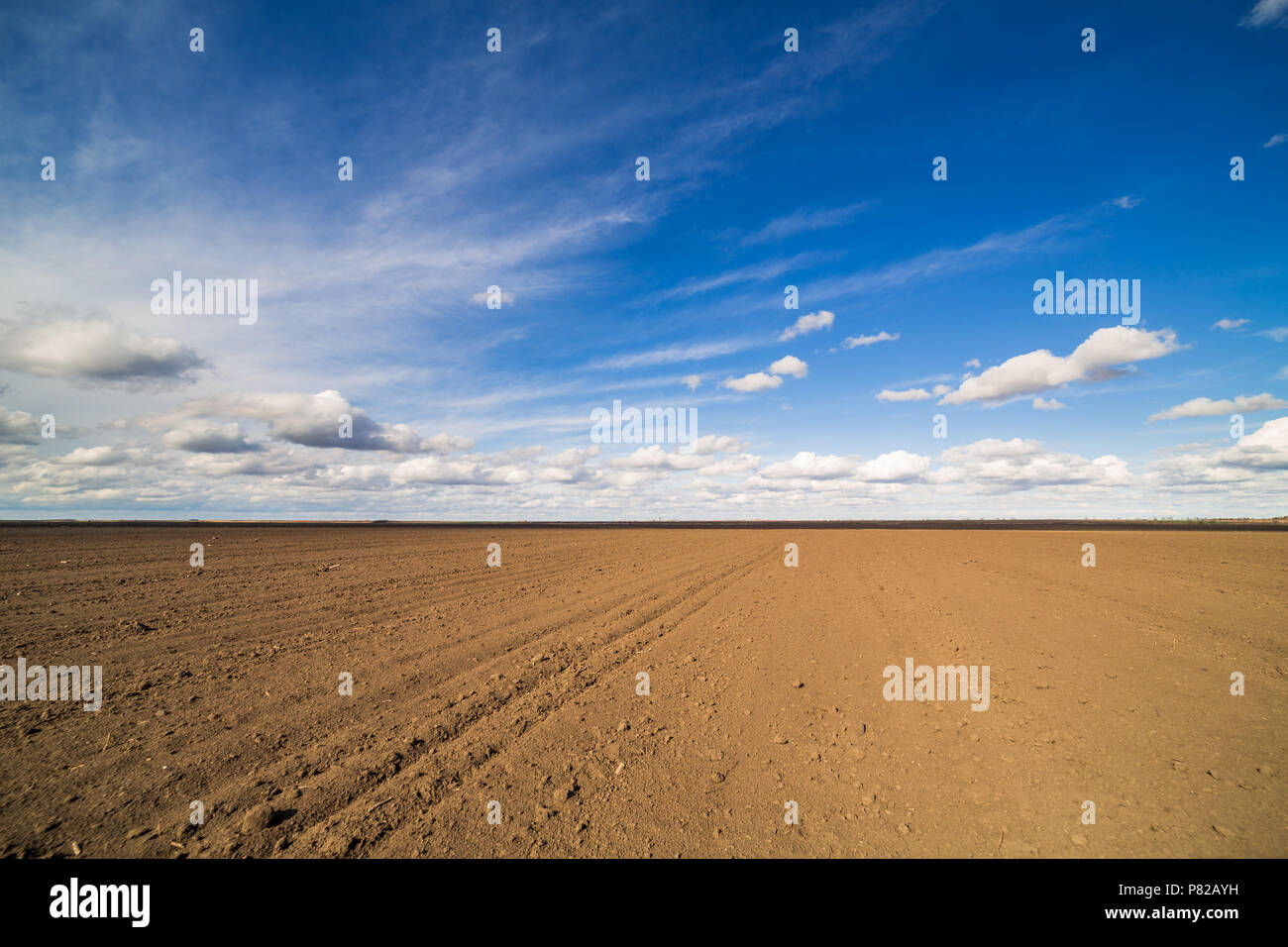 Agricultural landscape, arable crop field. Arable land is the land ...