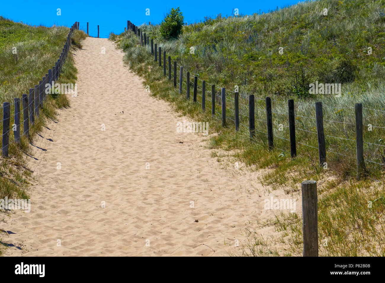 sandy path over dunes towards the beach in Meyendel, Holland Stock ...