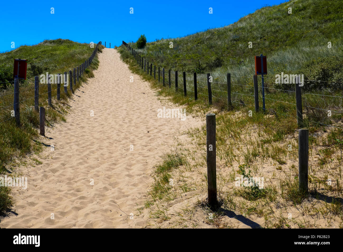sandy path over dunes towards the beach in Meyendel, Holland Stock ...