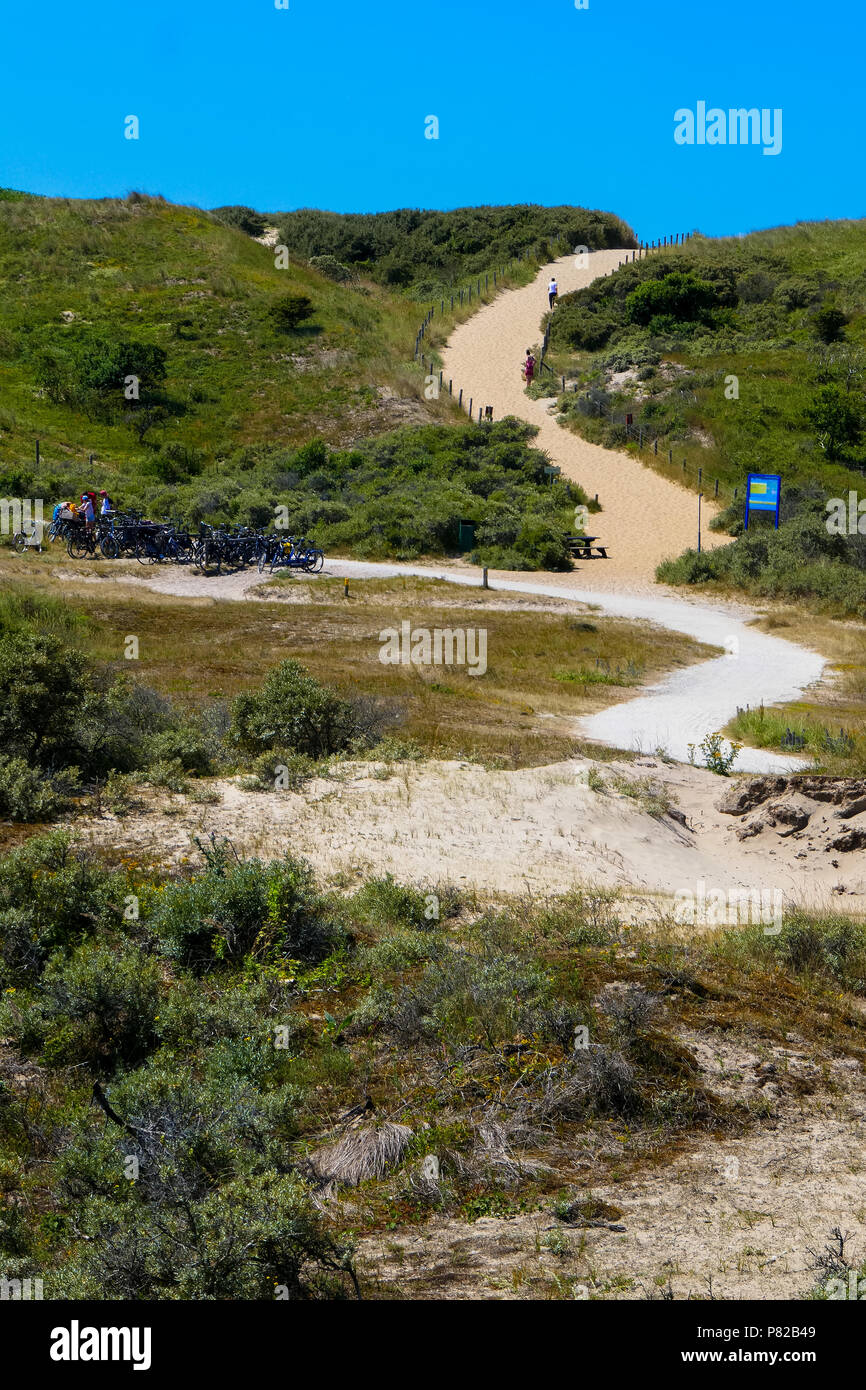 sandy path over dunes towards the beach in Meyendel, Holland Stock ...