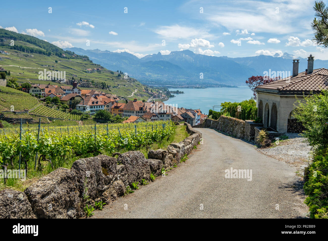View on a little winery village called Rivaz, in the beautiful Lavaux ...