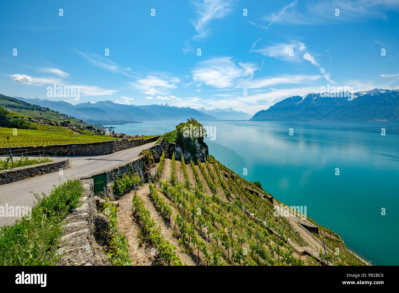Lavaux Vineyard, a UNESCO World Heritage site. View on the terrasses ...