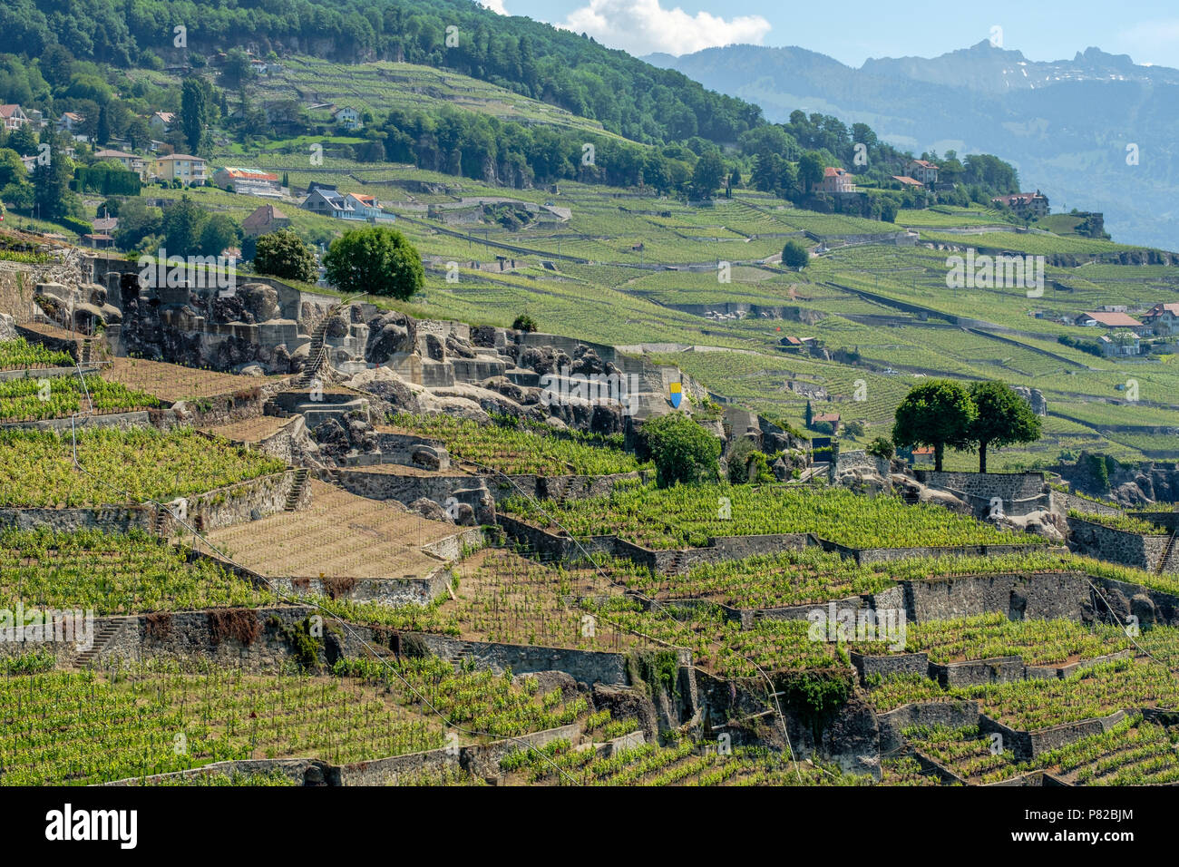 Countryside lavaux vineyard terraces hi-res stock photography and ...