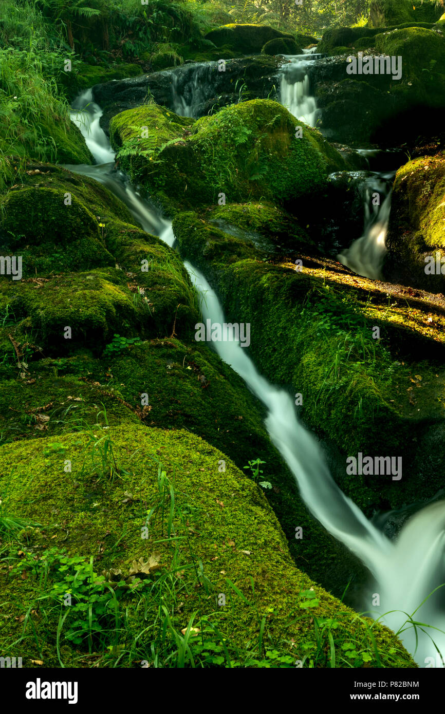 Dartmoor sightseeing hi-res stock photography and images - Alamy