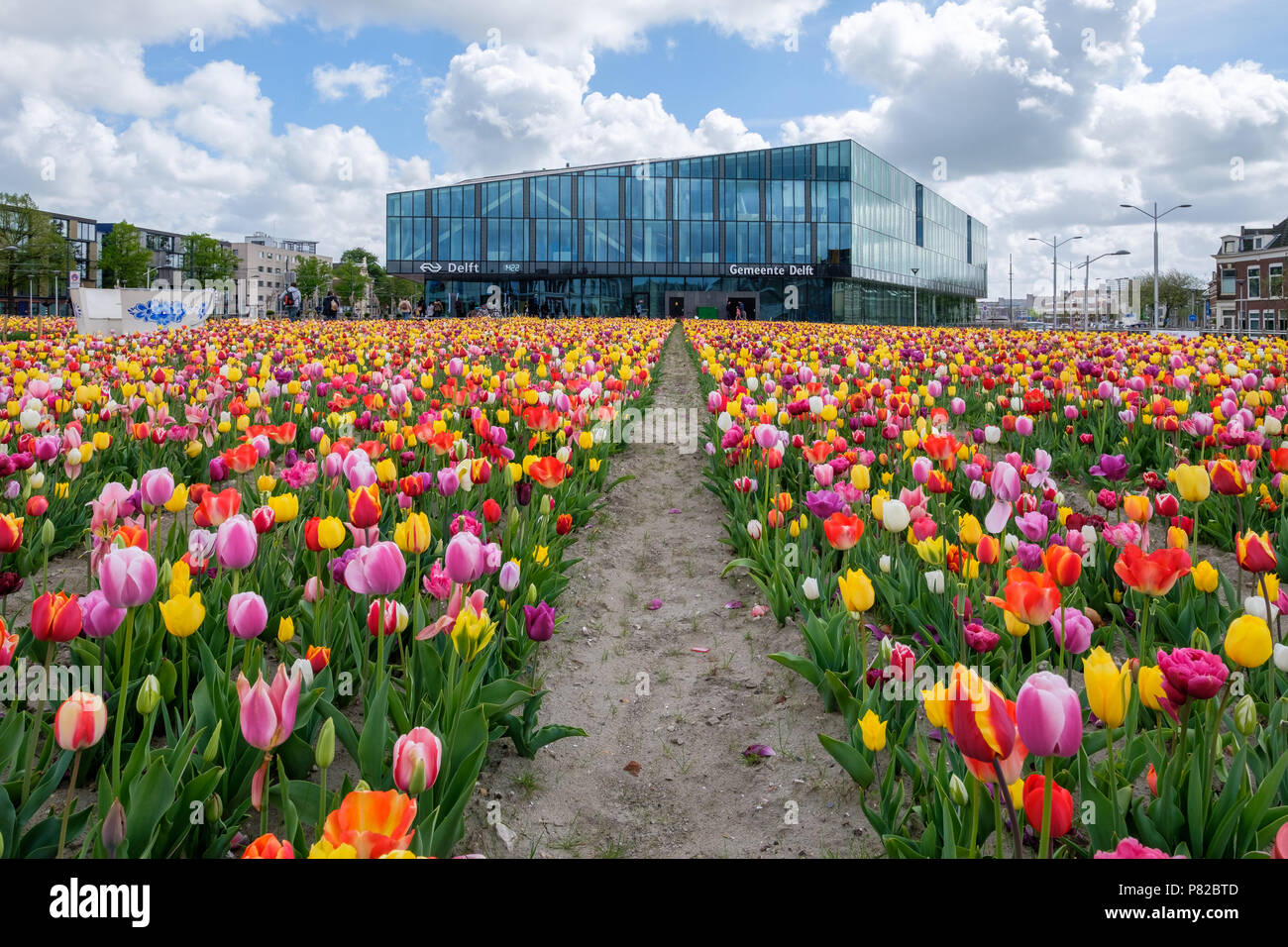 A tulip garden in front of the new town hall / railway station in Delft ...