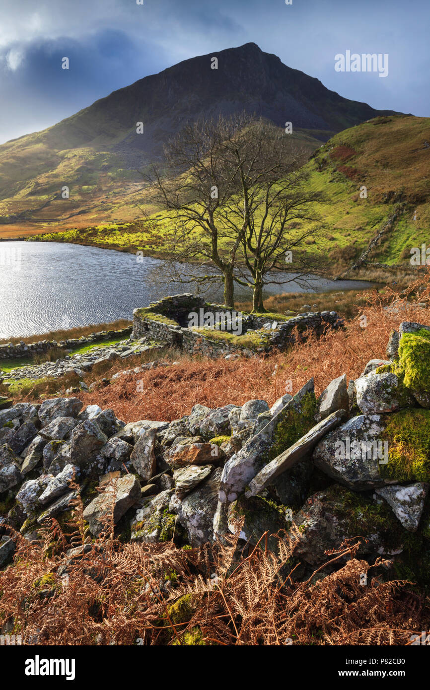 Llyn y Dywarchen in the Snowdonia National Park with ruins in the ...