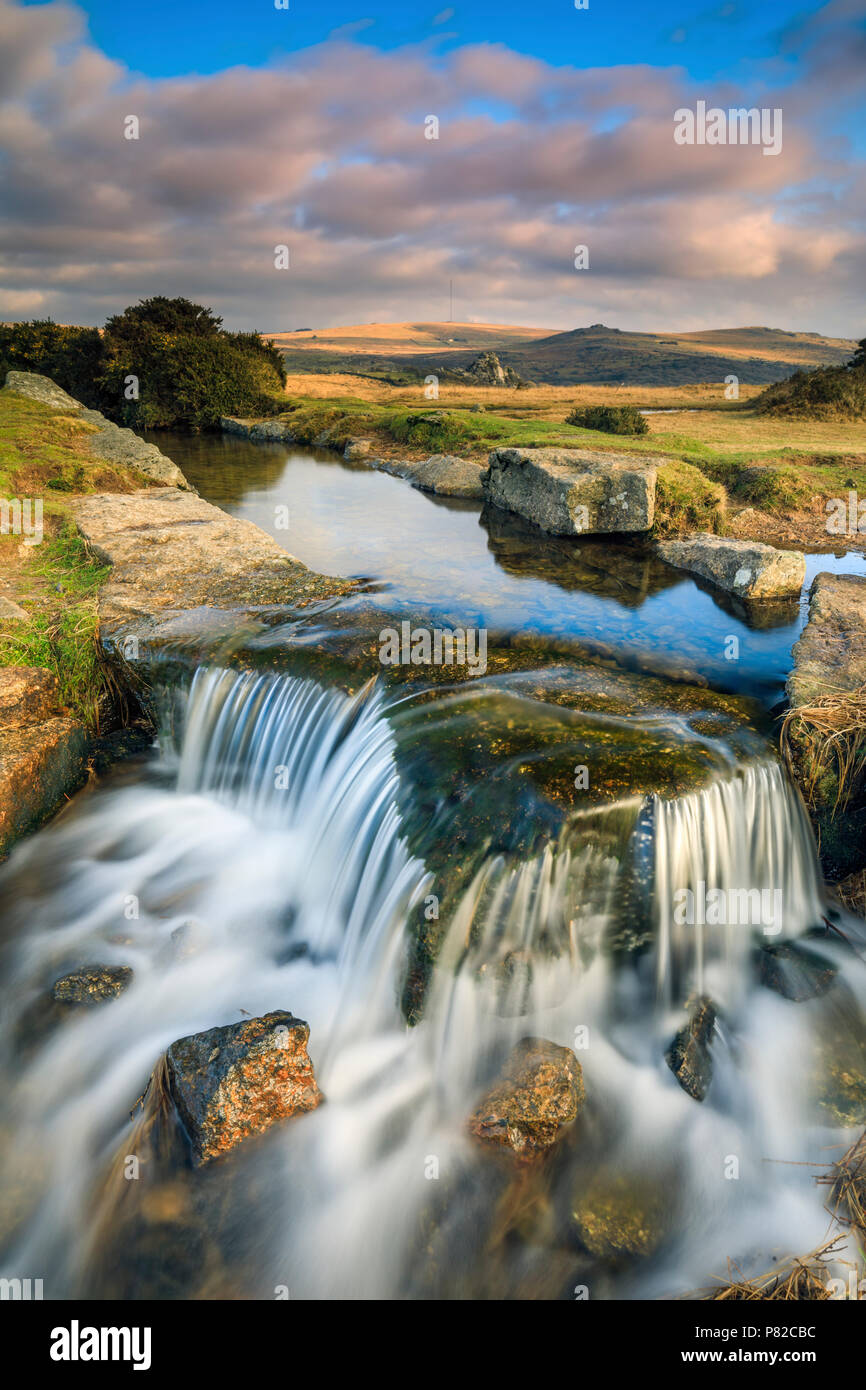 Dartmoor national park hi-res stock photography and images - Alamy
