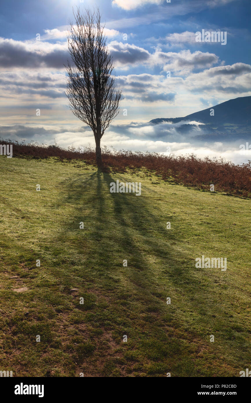 The national loaf hi-res stock photography and images - Alamy
