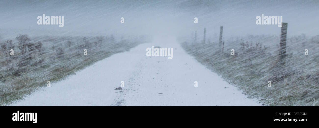 Landscape photograph of a British blizzard Stock Photo - Alamy