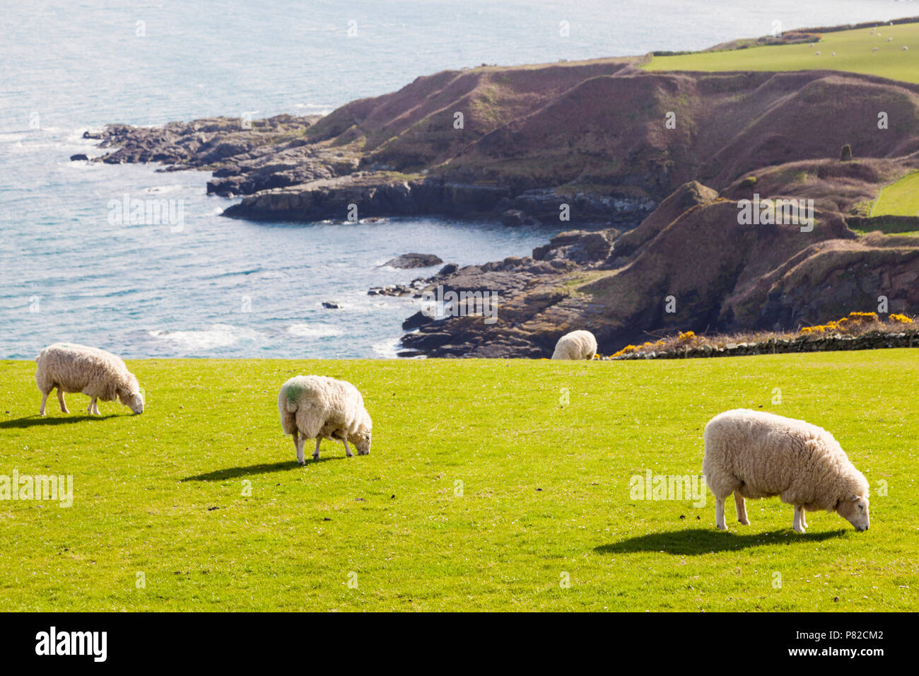 Spring panorama of Isle of Man. Isle of Man Stock Photo - Alamy