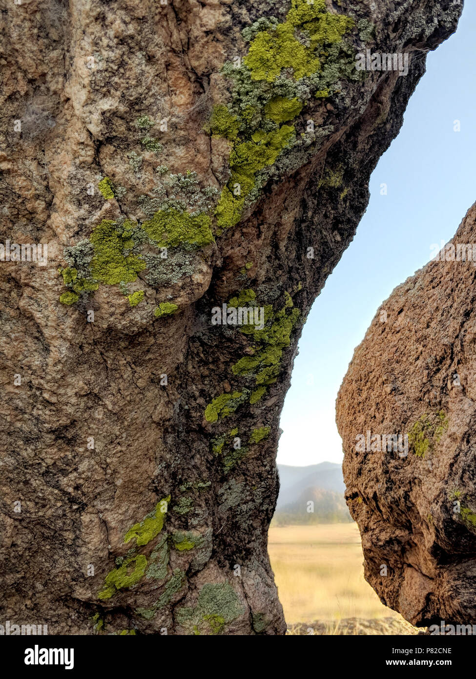 Mossy rock texture hi-res stock photography and images - Alamy