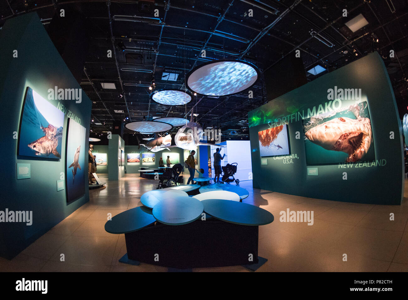 United nations educational hi-res stock photography and images - Alamy