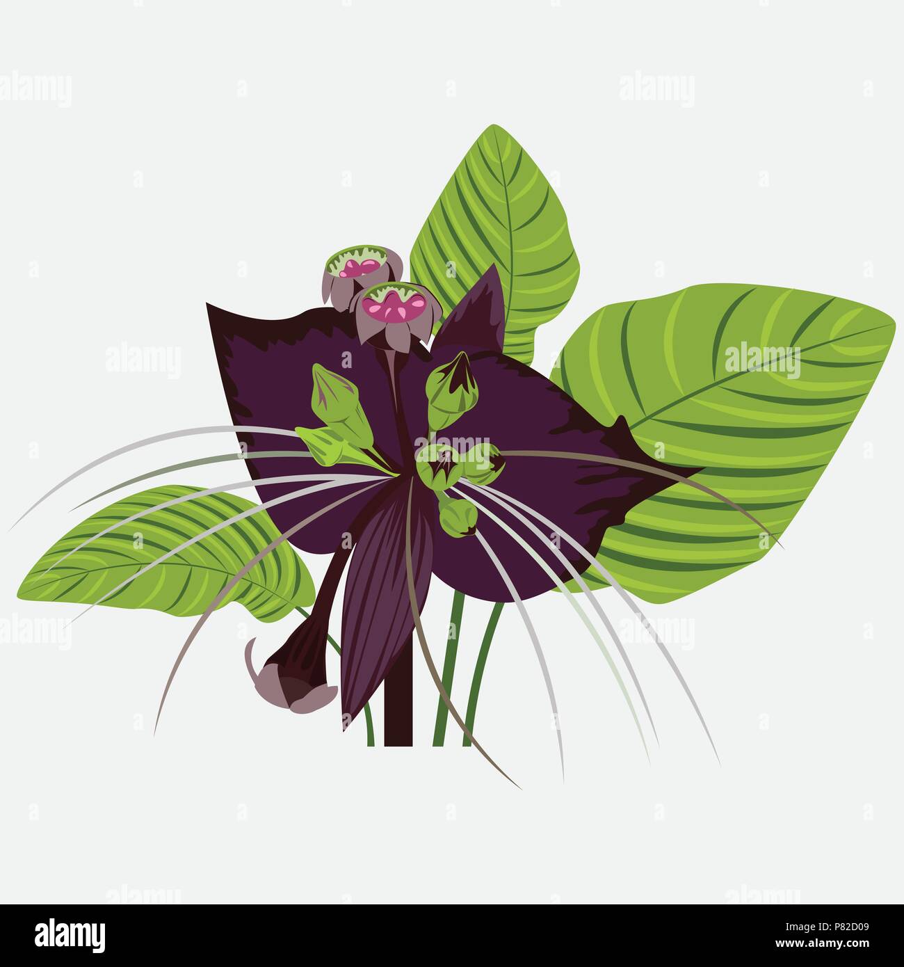 Black devil hi-res stock photography and images - Alamy