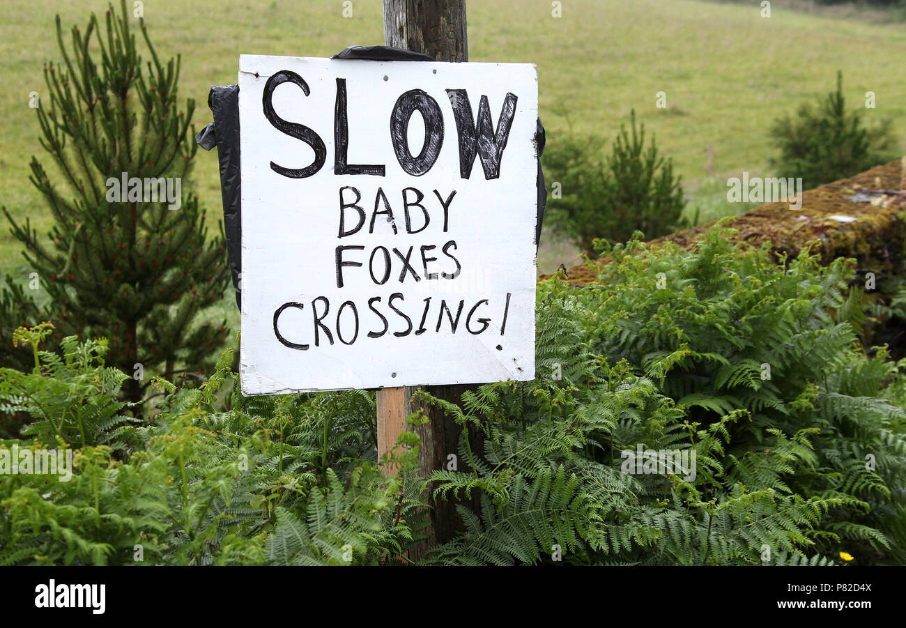 Warning sign for motorists to slow down as baby foxes may be crossing ...