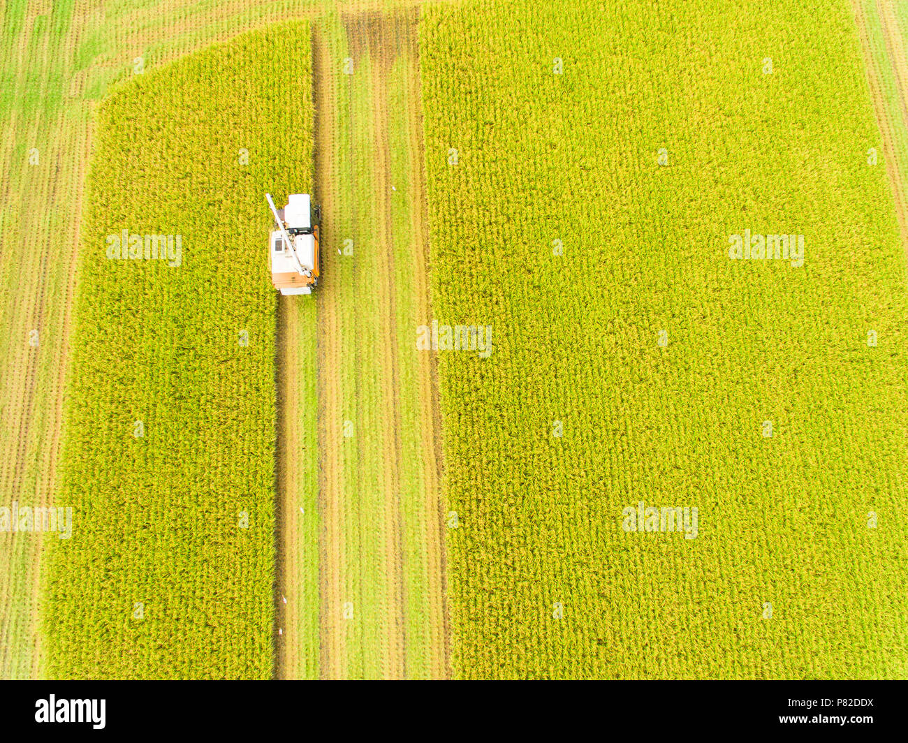 Aerial view combine harvester hi-res stock photography and images - Alamy