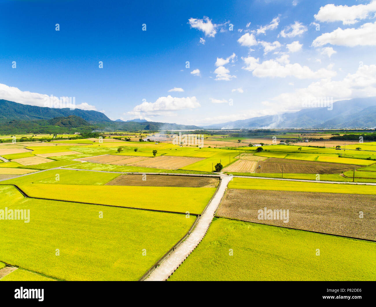 aerial view of rice field .Taiwan Stock Photo - Alamy