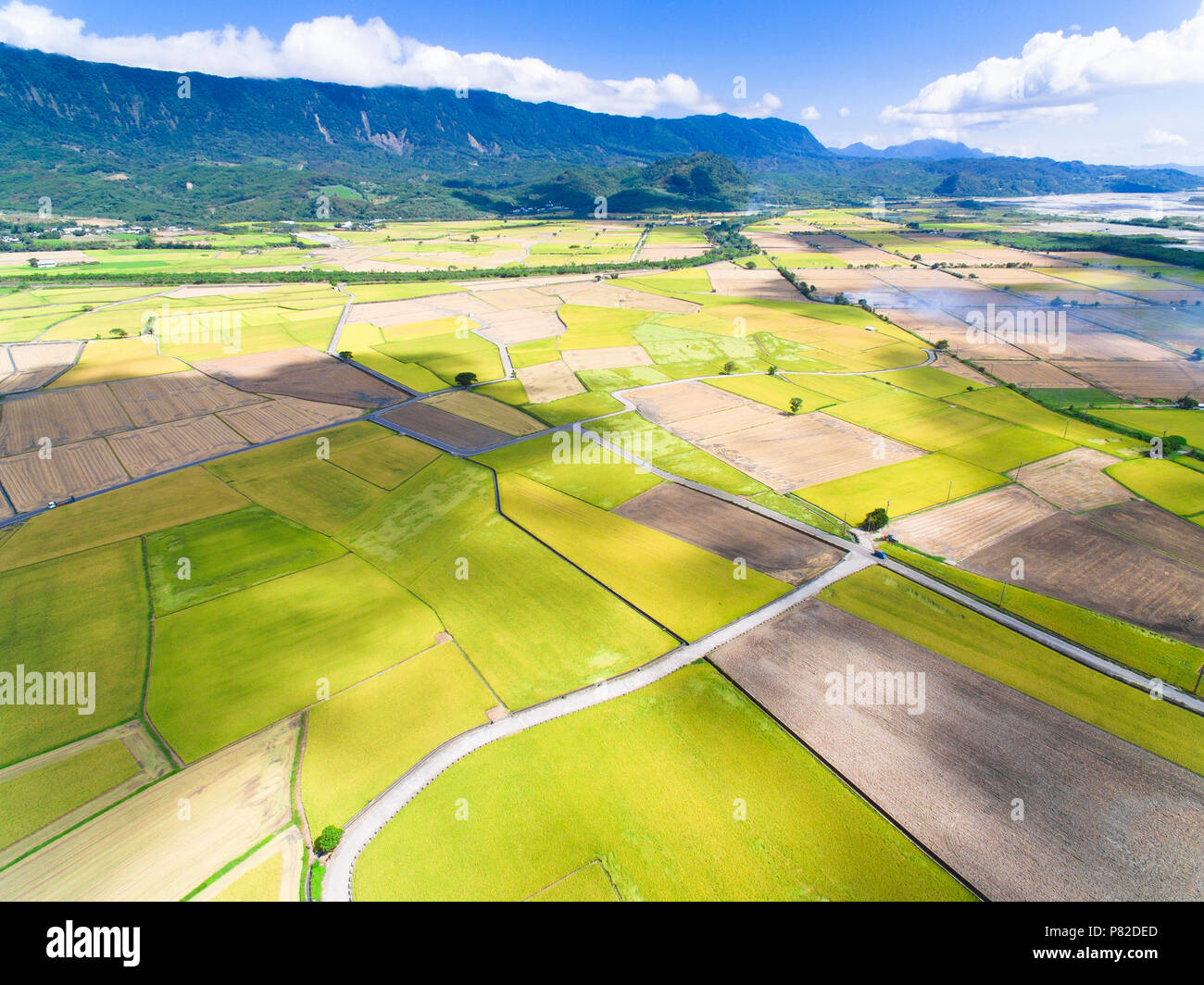aerial view of rice field .Taiwan Stock Photo - Alamy